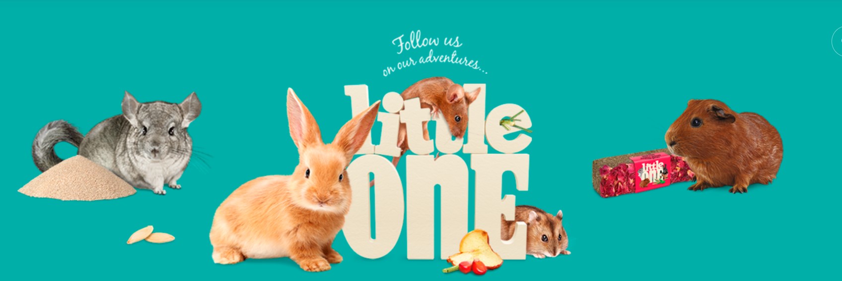 Little One Food for Dwarf Hamsters 400g - McPet